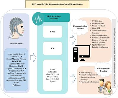 Frontiers | EEG-Based Brain–Computer Interfaces for Communication and Rehabilitation of People ...